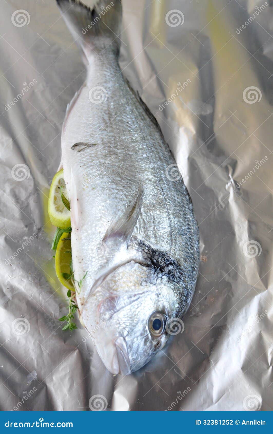 Gilt head Sea bream Fish stock photo. Image of barbecue - 32381252