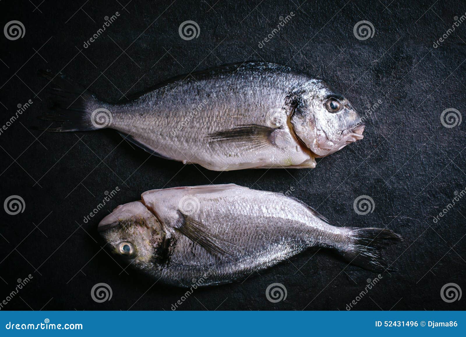 Gilthead fish stock photo. Image of atlantic, healthy - 52431496