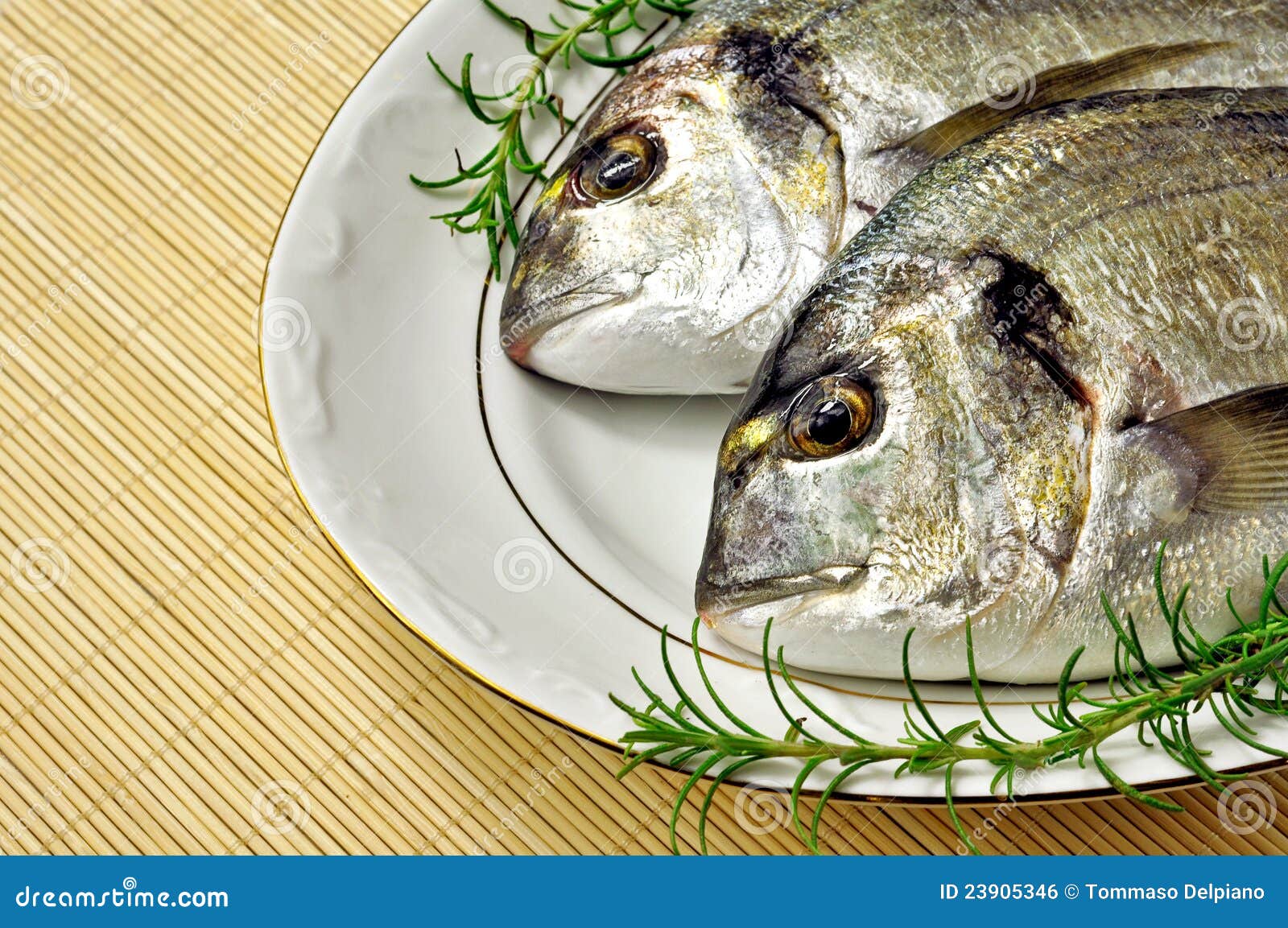 Giltheads fish stock photo. Image of roast, dish, herb - 23905346