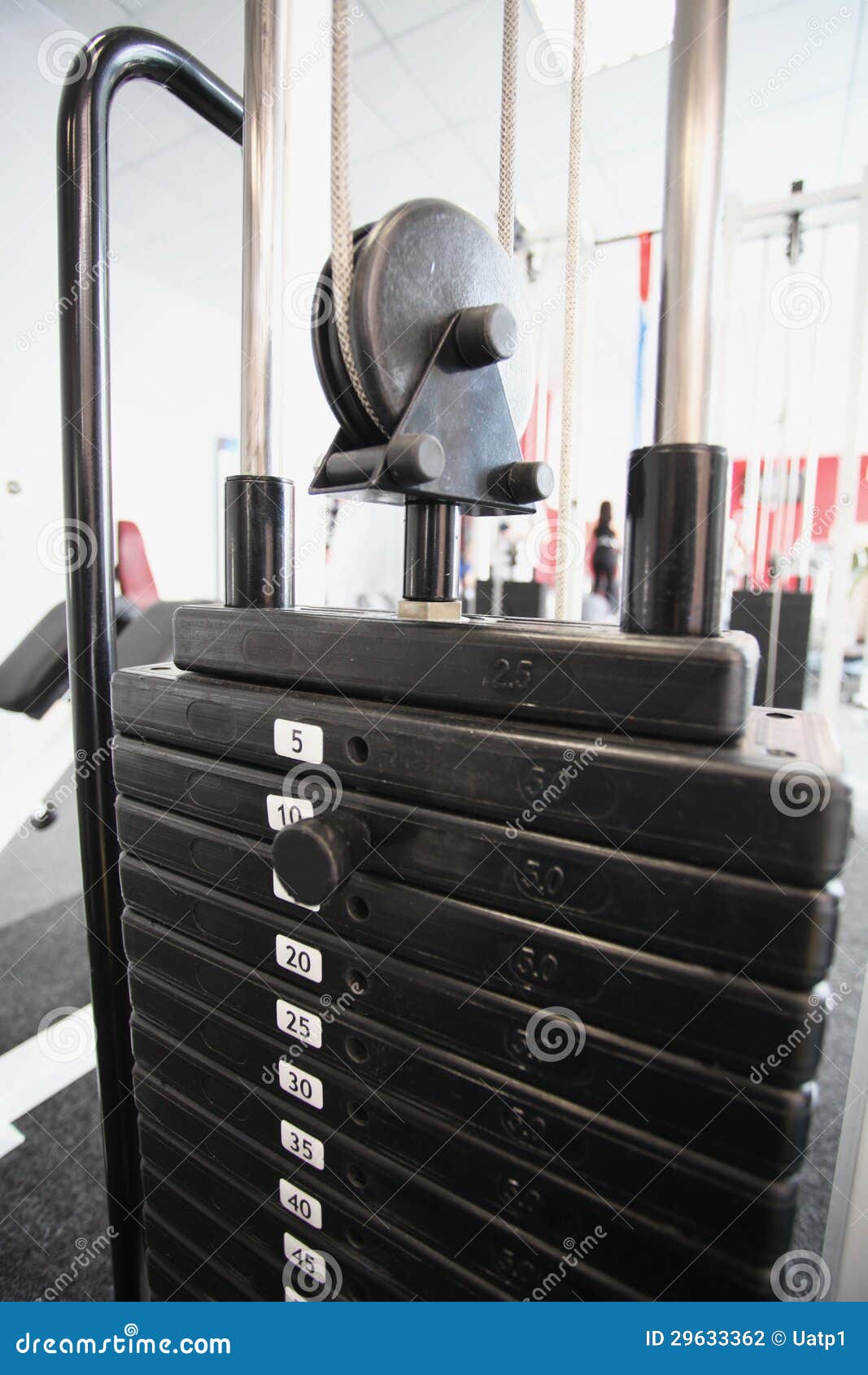 Gim apparatus stock photo. Image of care, body, wight - 29633362