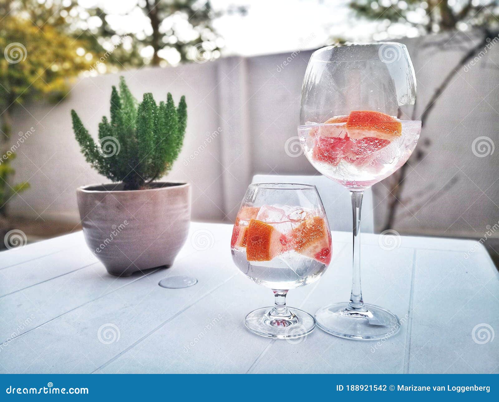 Gin Drinks Glasses Sundowner Cocktail Stock Photo - Image of sundowner ...