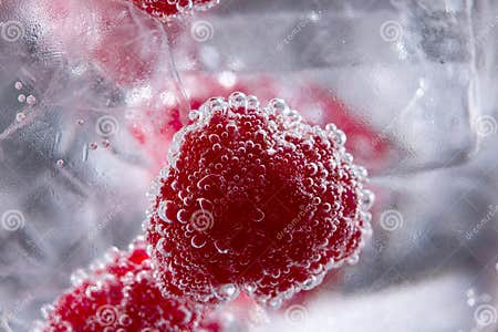Gin Tonic Cocktail with Raspberry and Ice Macro Closeup Stock Photo ...