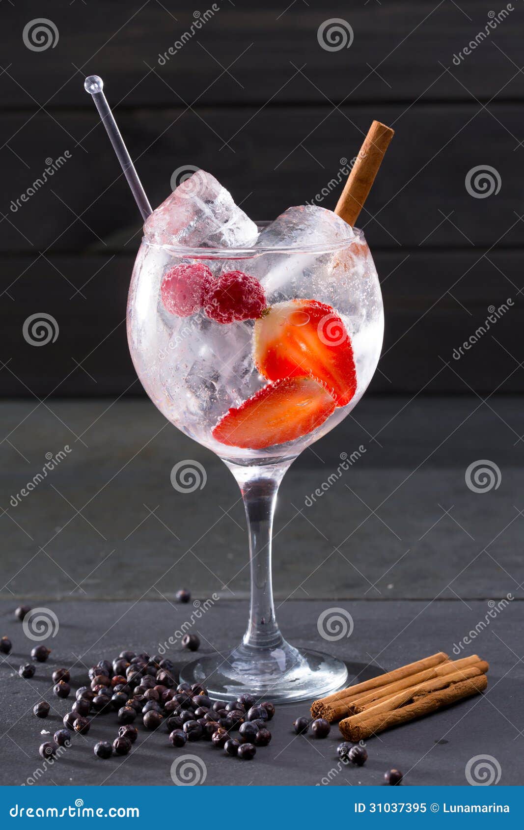 Gin Tonic Cocktail with Strawberries Cinnamon and Juniper Stock Image ...