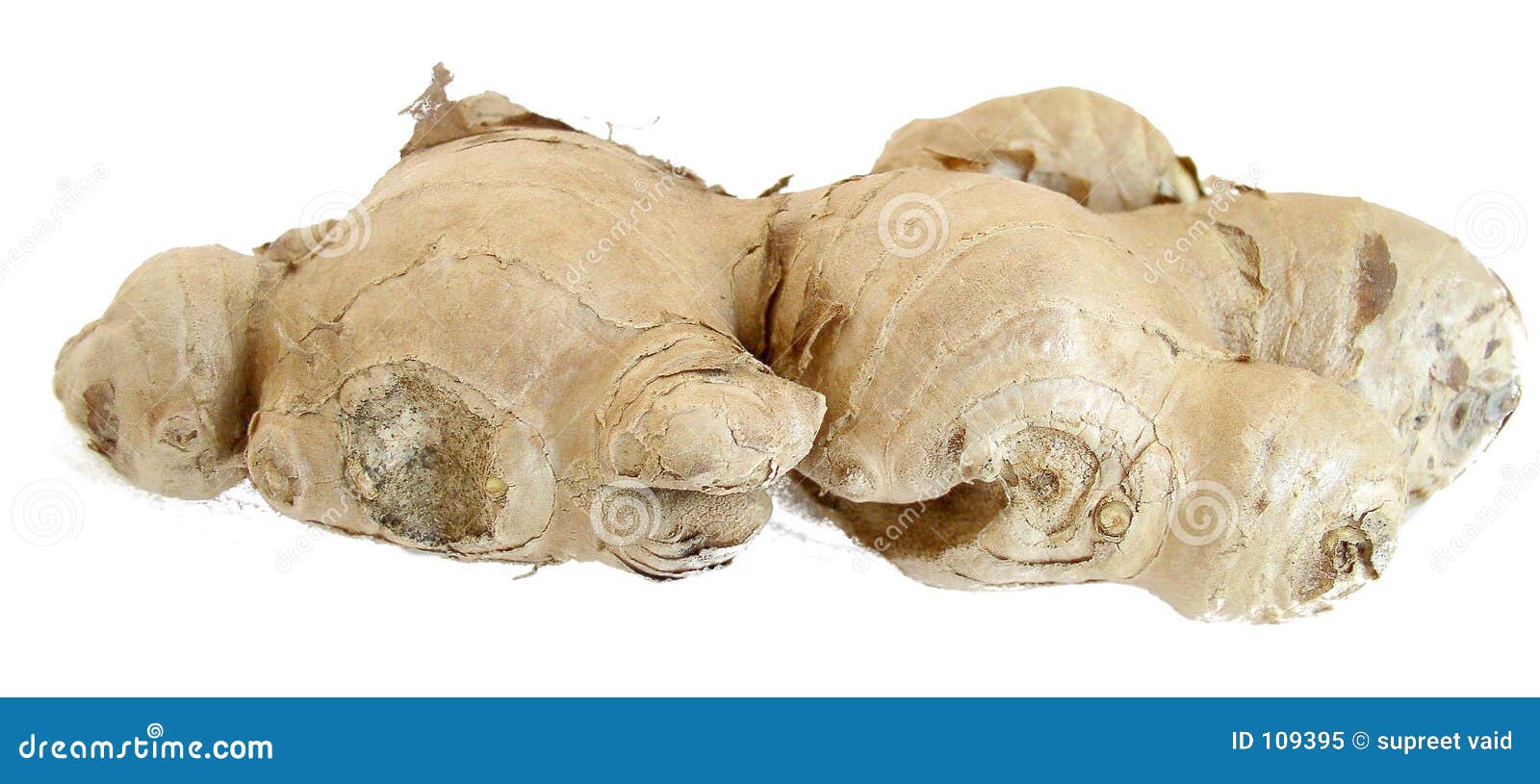 Ginger stock image. Image of unpeeled, adrak, adkar, gingerous - 109395