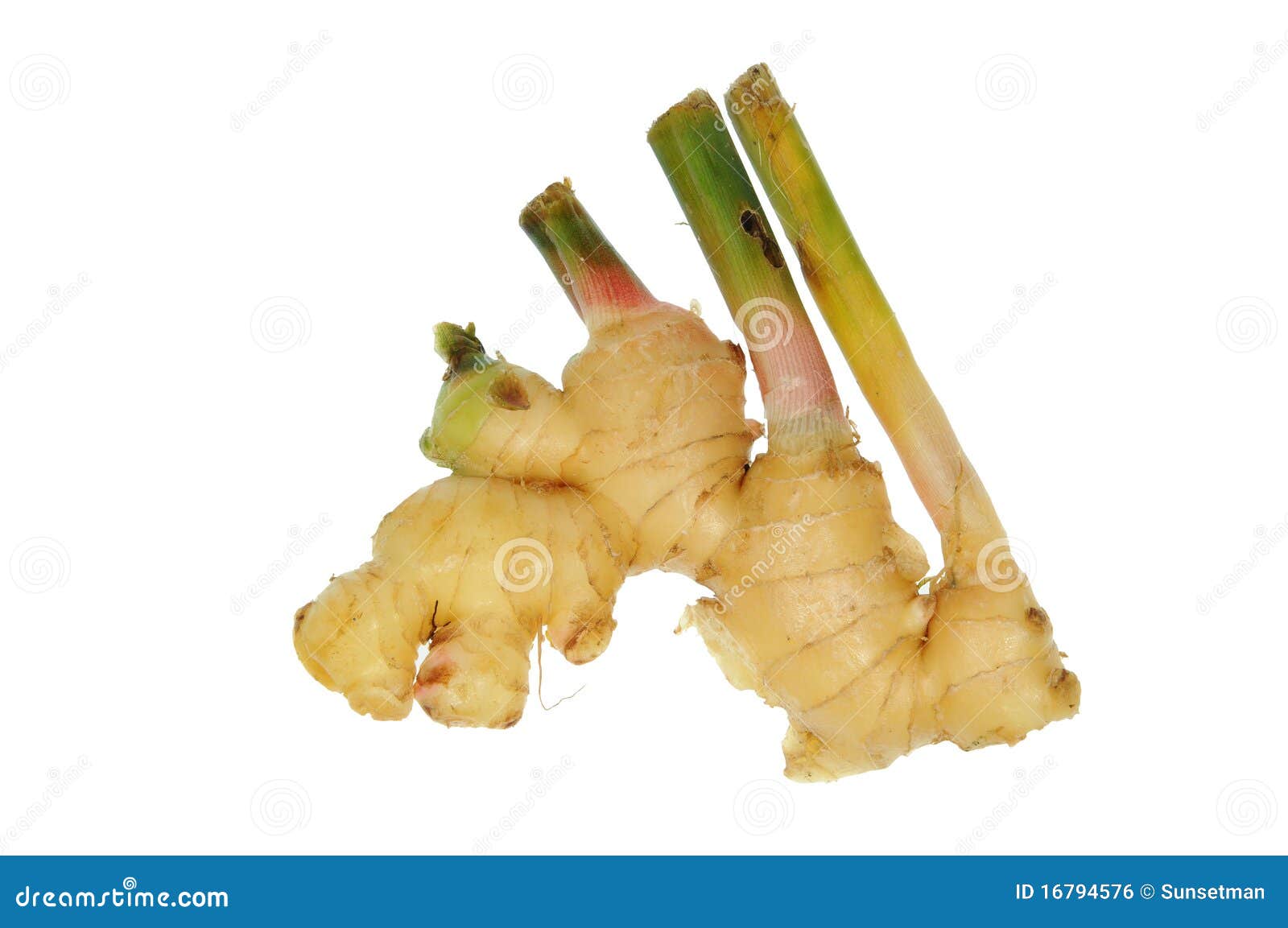 Ginger stock photo. Image of food, harvest, herbal, asian - 16794576