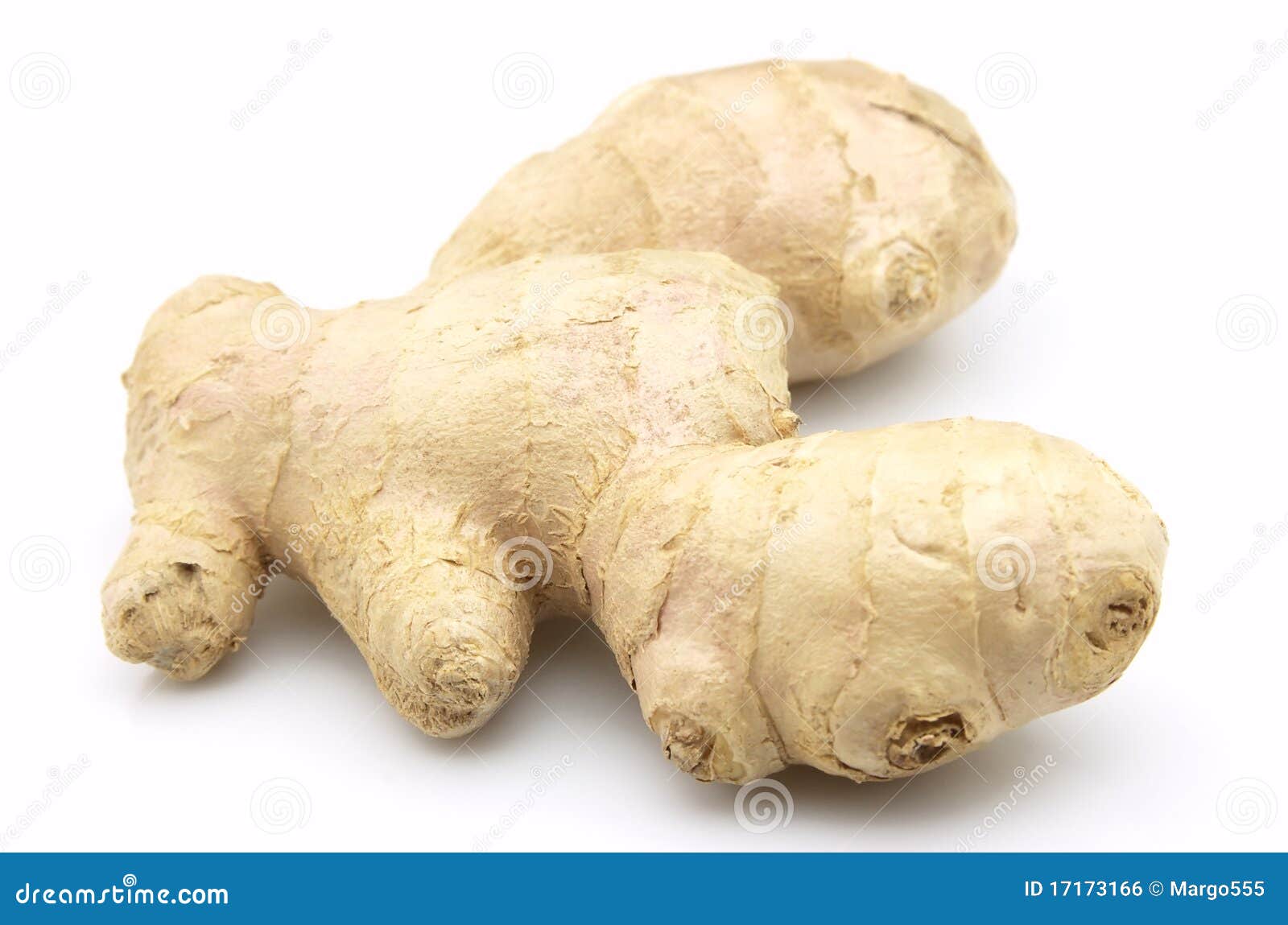 Ginger Picture. Image: 17173166