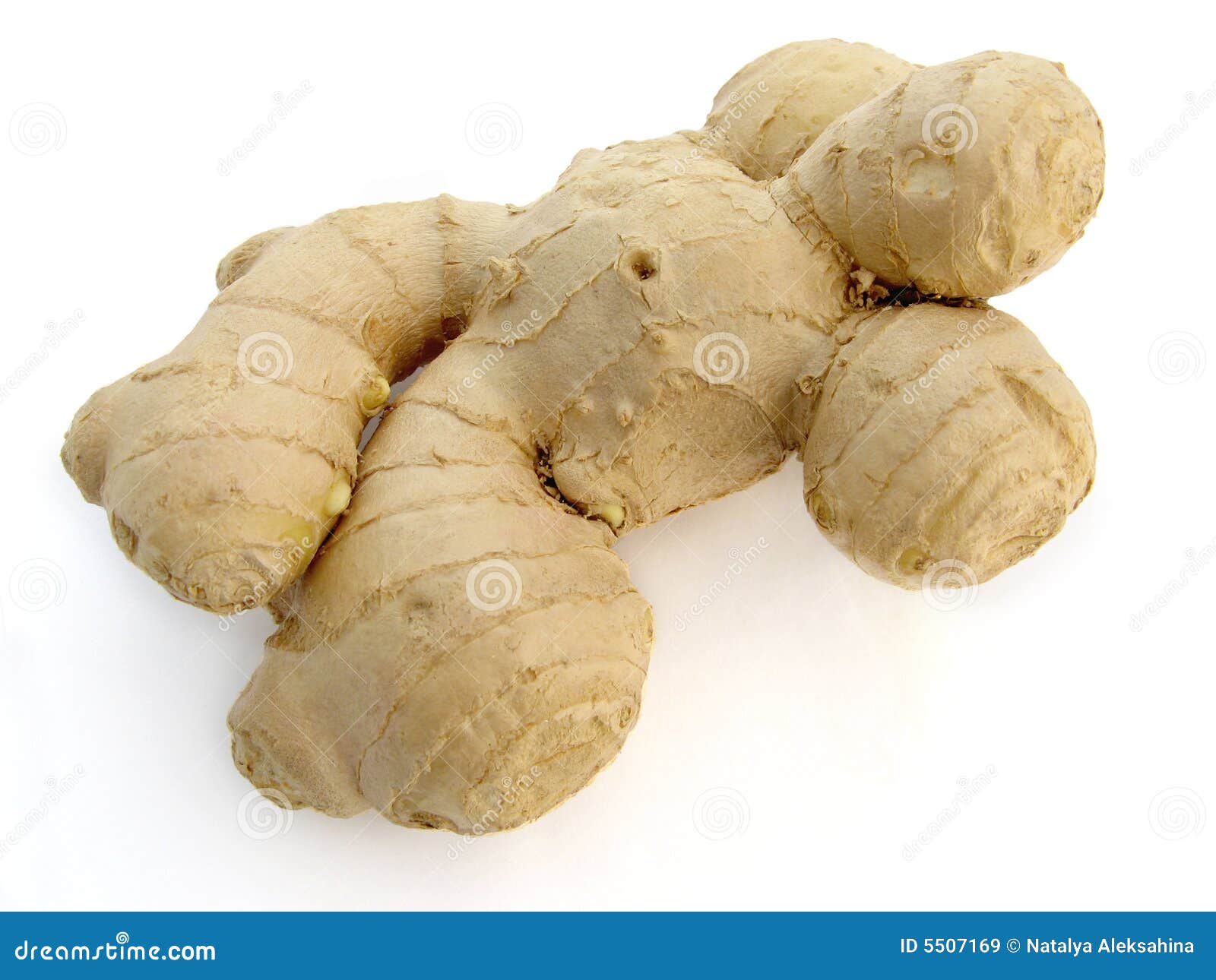Ginger Royalty Free Stock Images - Image: 5507169