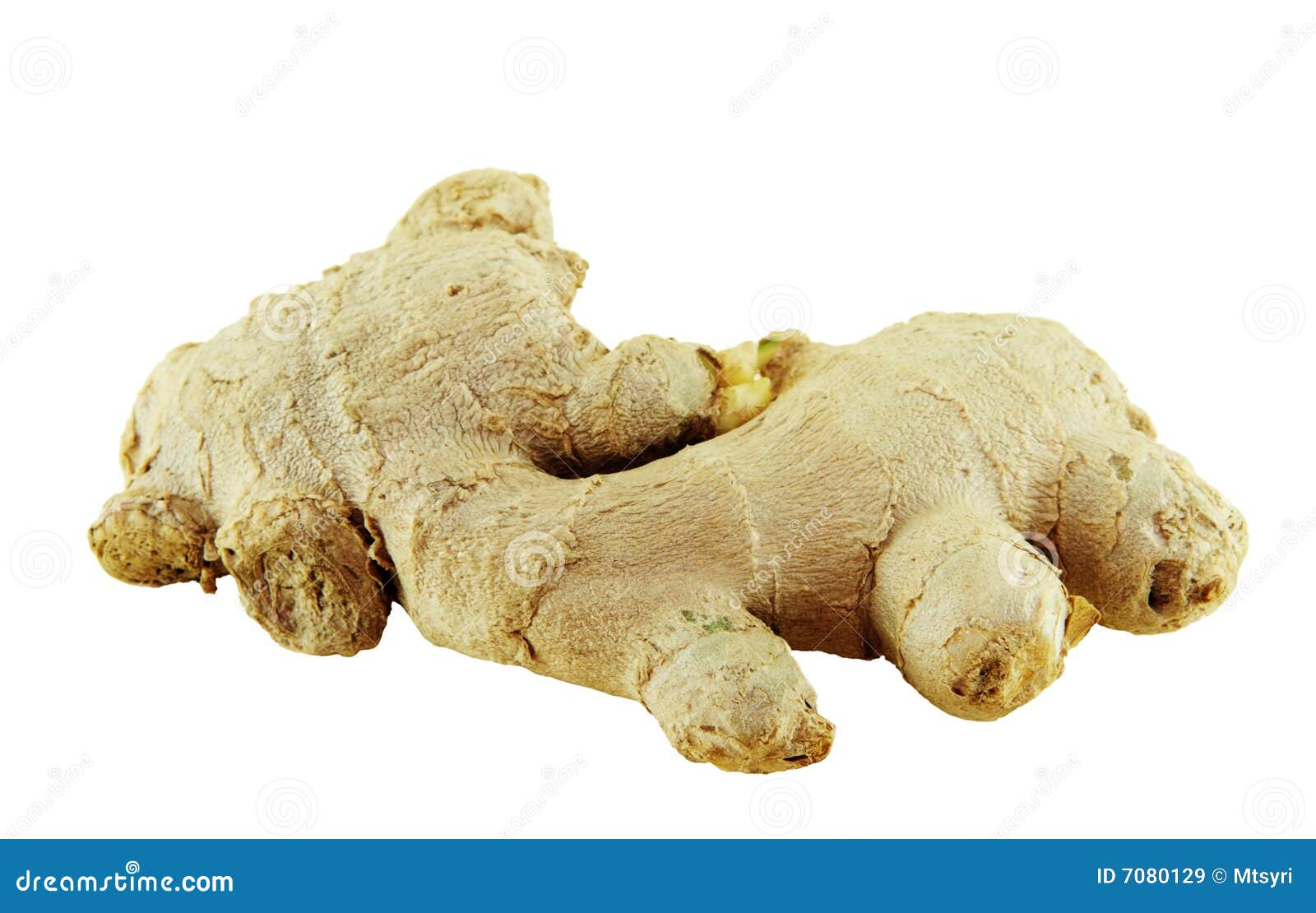 Ginger stock image. Image of root, tuber, ginger, edible - 7080129