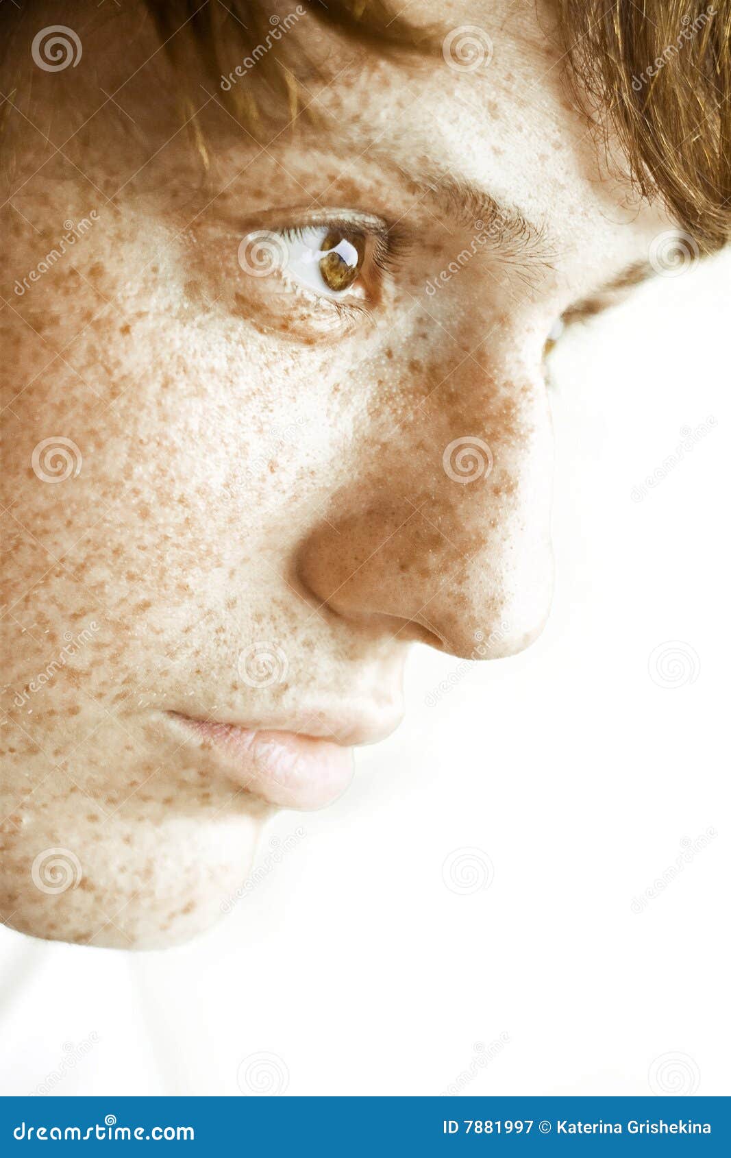 Ginger stock image. Image of freckles, friendly, haired - 7881997