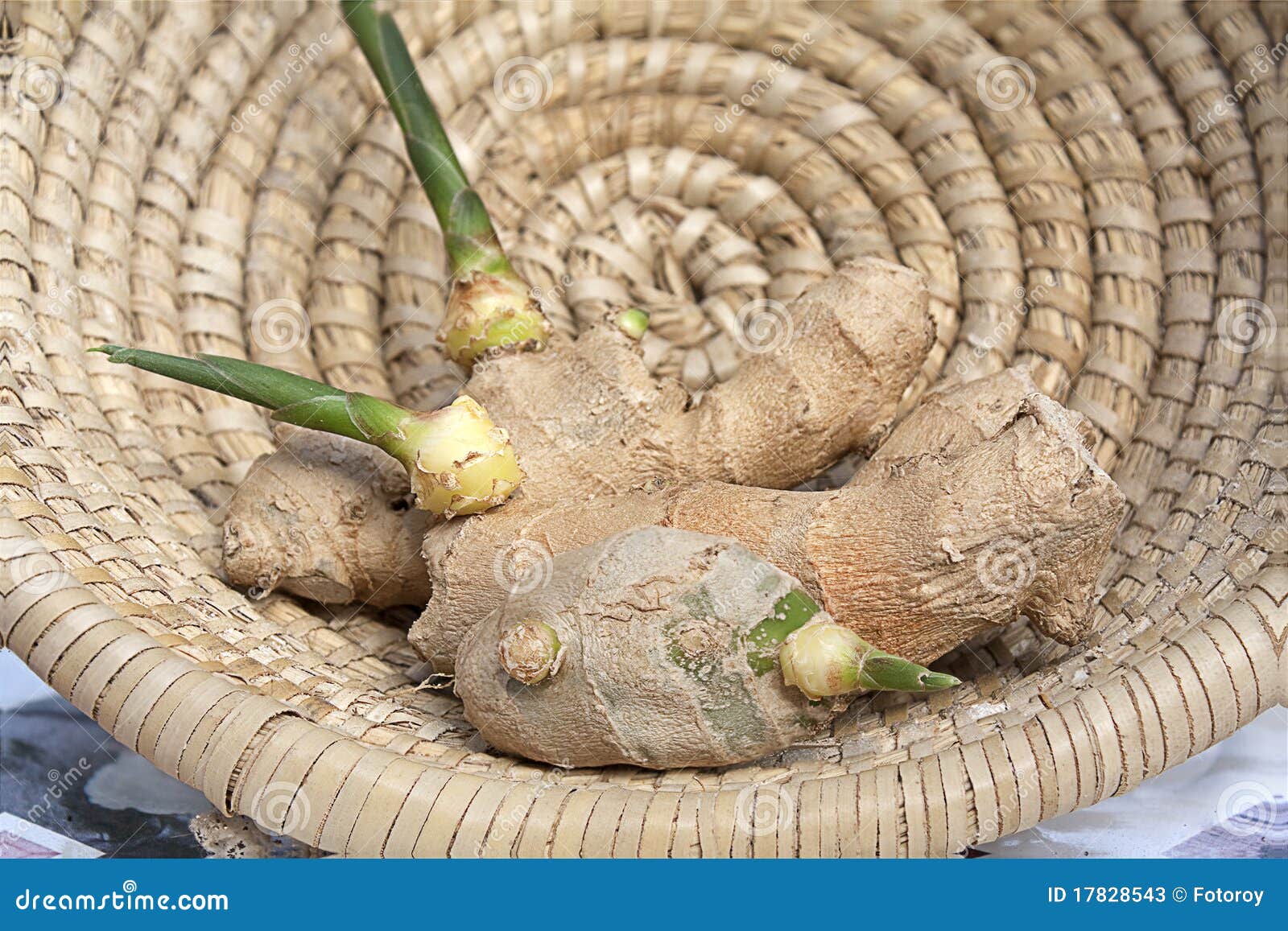stock image. Image of chinese, nature, seasoning, ginger - 17828543
