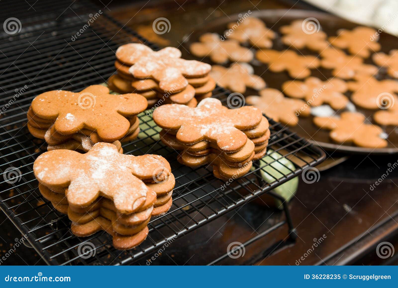 Ginger Bread Cookies stock image. Image of festive, delicious - 36228235