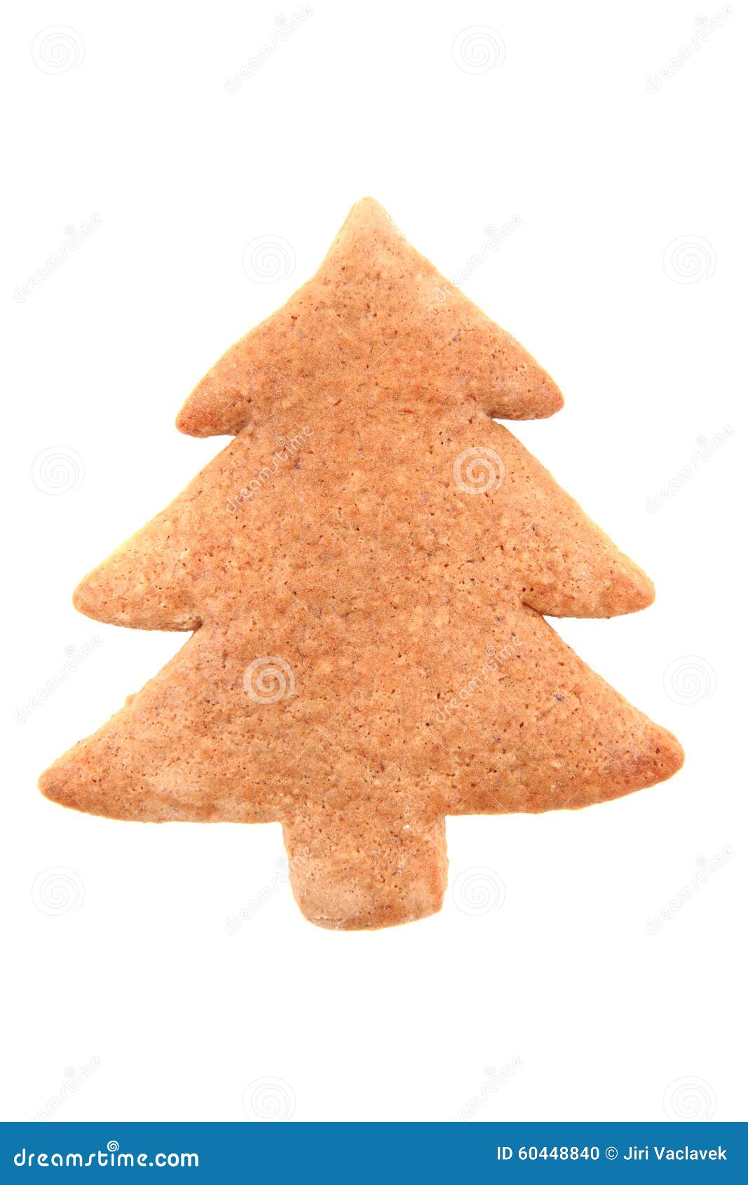 Ginger bread tree isolated stock photo. Image of sweet - 60448840