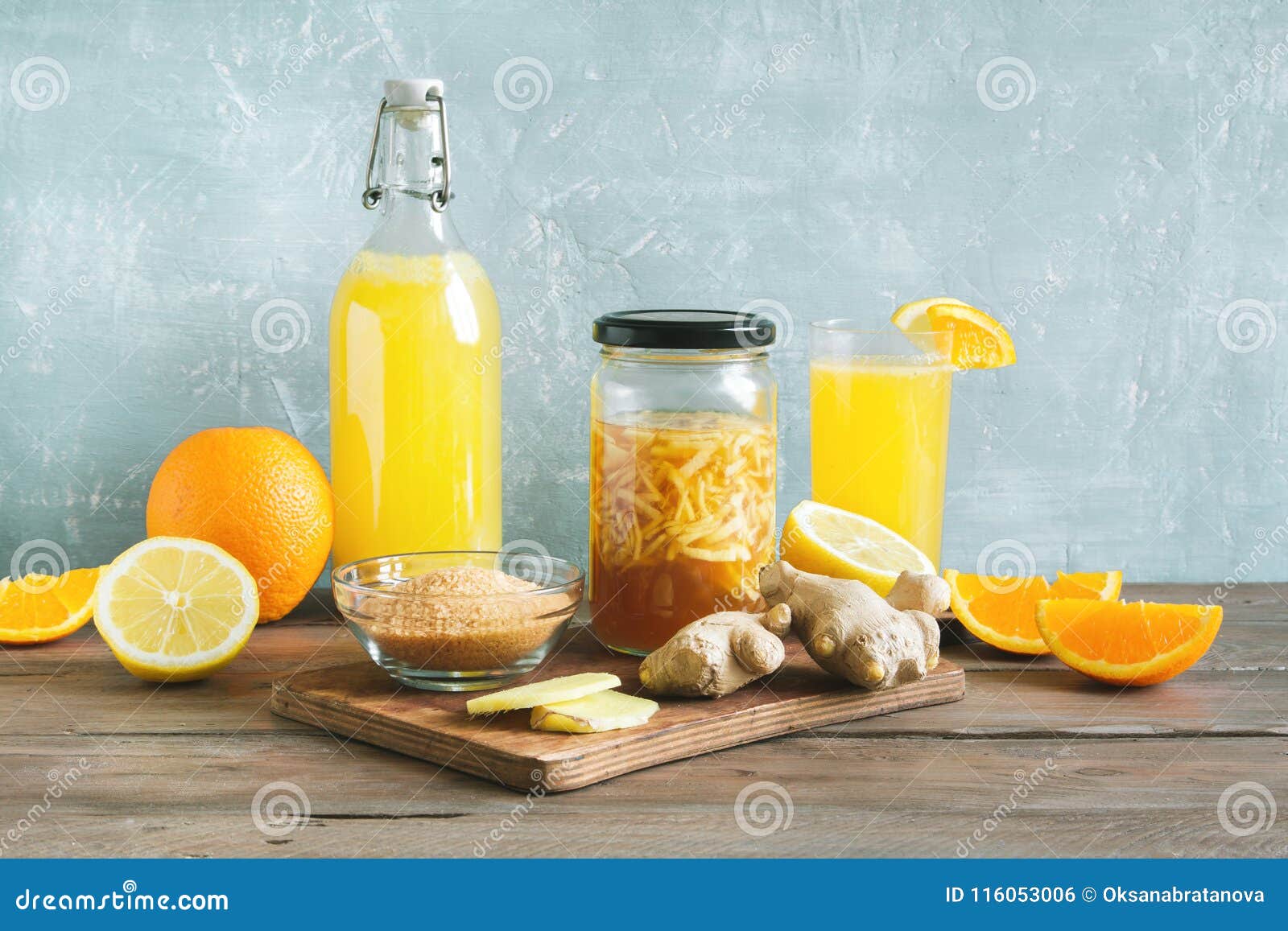 Ginger Bug stock photo. Image of organic, copy, biotic - 116053006