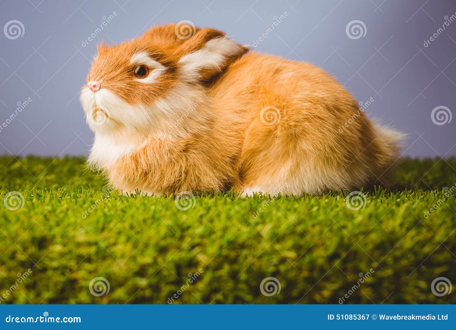 Ginger bunny rabbit stock image. Image of animal, taxidermy - 51085367