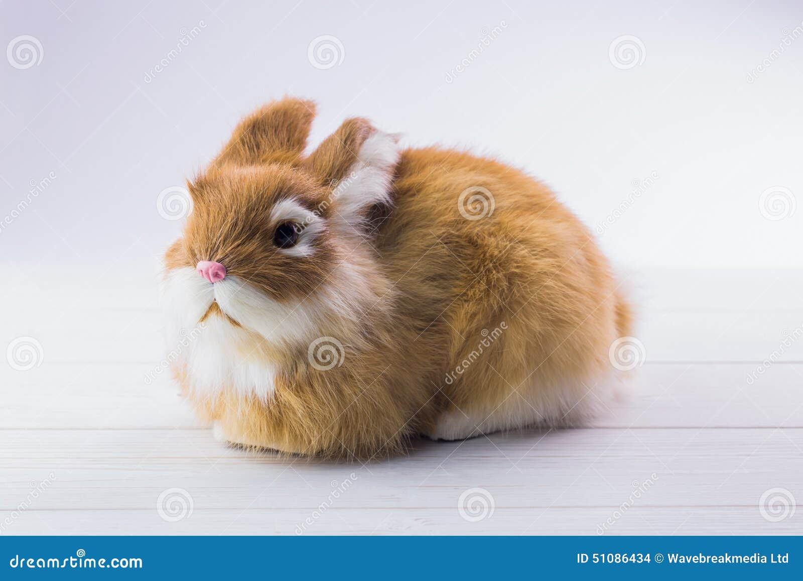 Ginger bunny rabbit stock photo. Image of planks, taxidermy - 51086434
