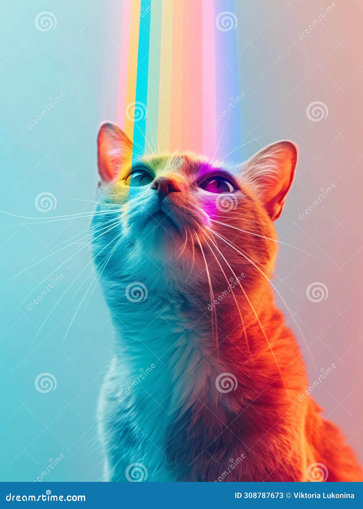 Ginger Cat in Awe of a Vertical Spectrum of Light Stock Image - Image ...