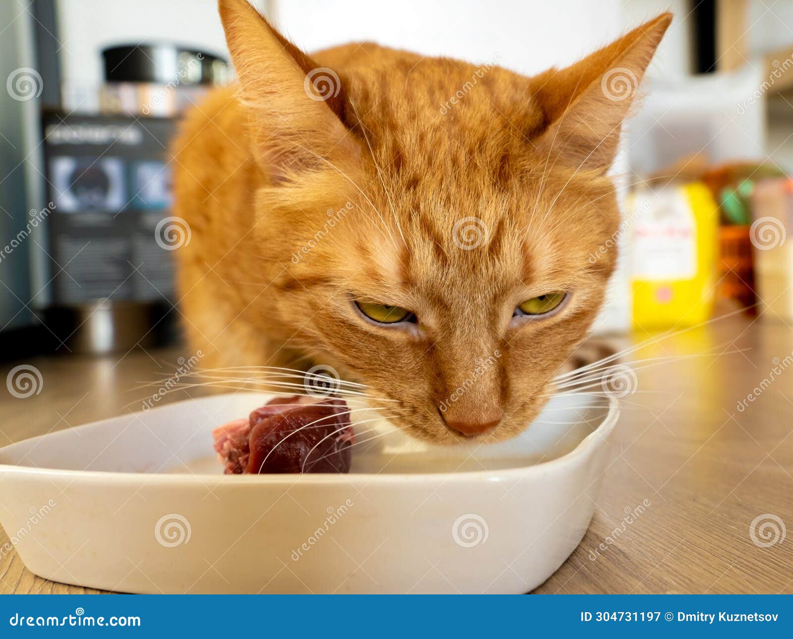 Ginger Cat Eating Raw Meat in the Kitchen Stock Image - Image of ...