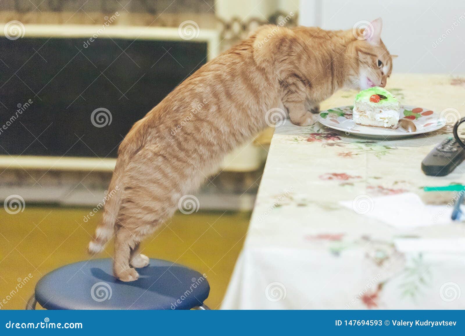 Ginger Cat Eats Cake stock image. Image of feline, food - 147694593