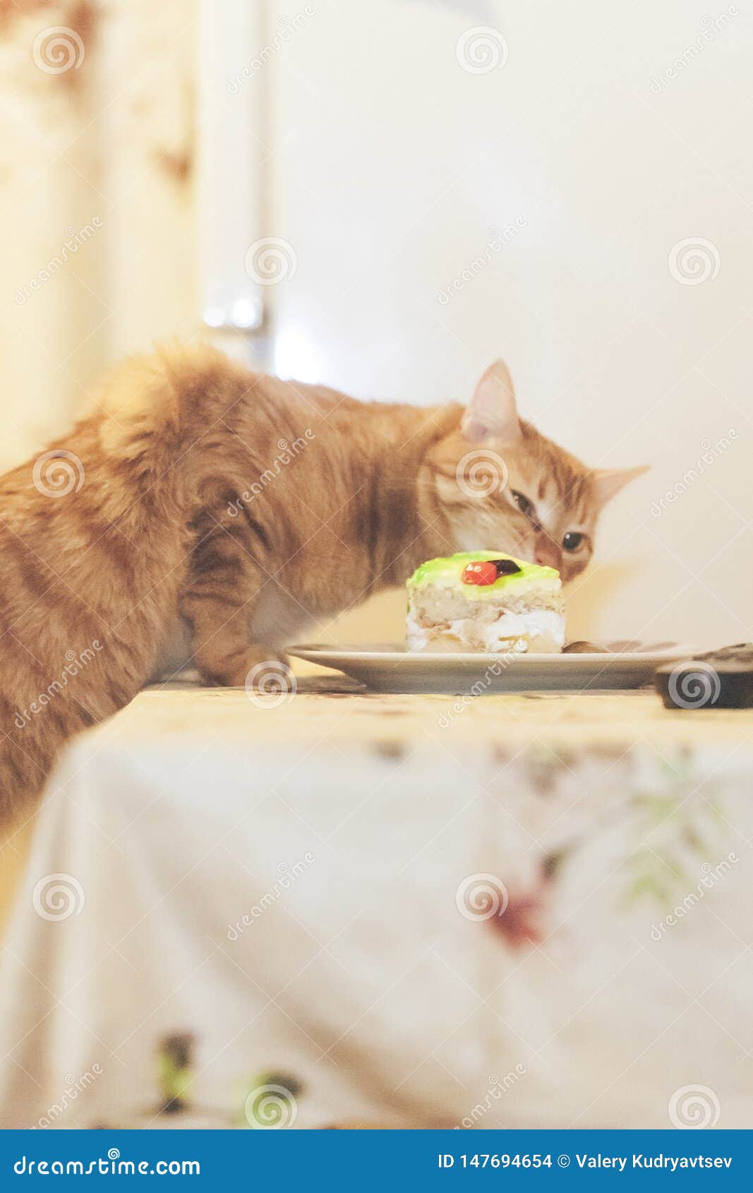 Ginger Cat Eats Cake stock photo. Image of confectionery - 147694654