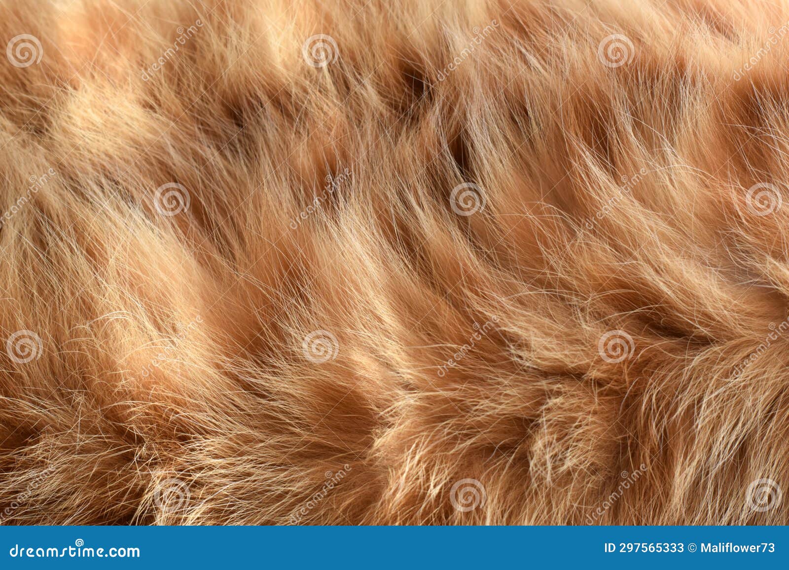 Ginger Cat Fur Texture Background. Stock Image - Image of beauty ...