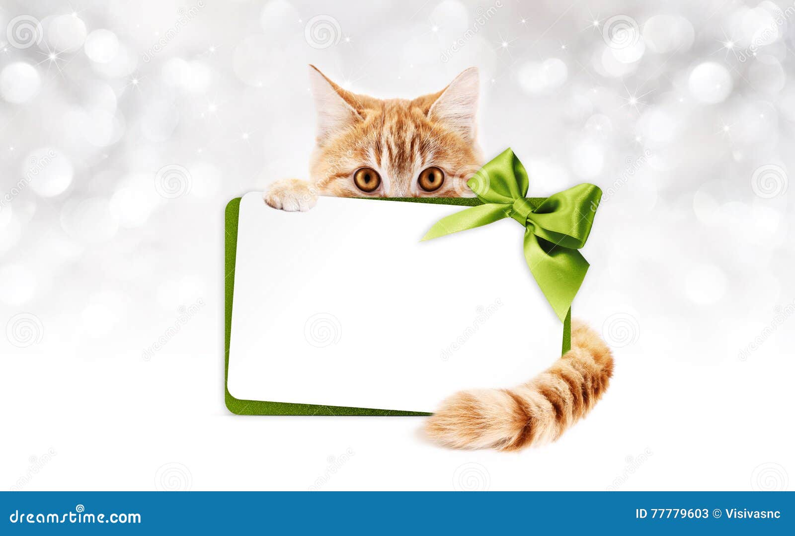Ginger Cat with Gift Card and Green Ribbon Stock Illustration ...