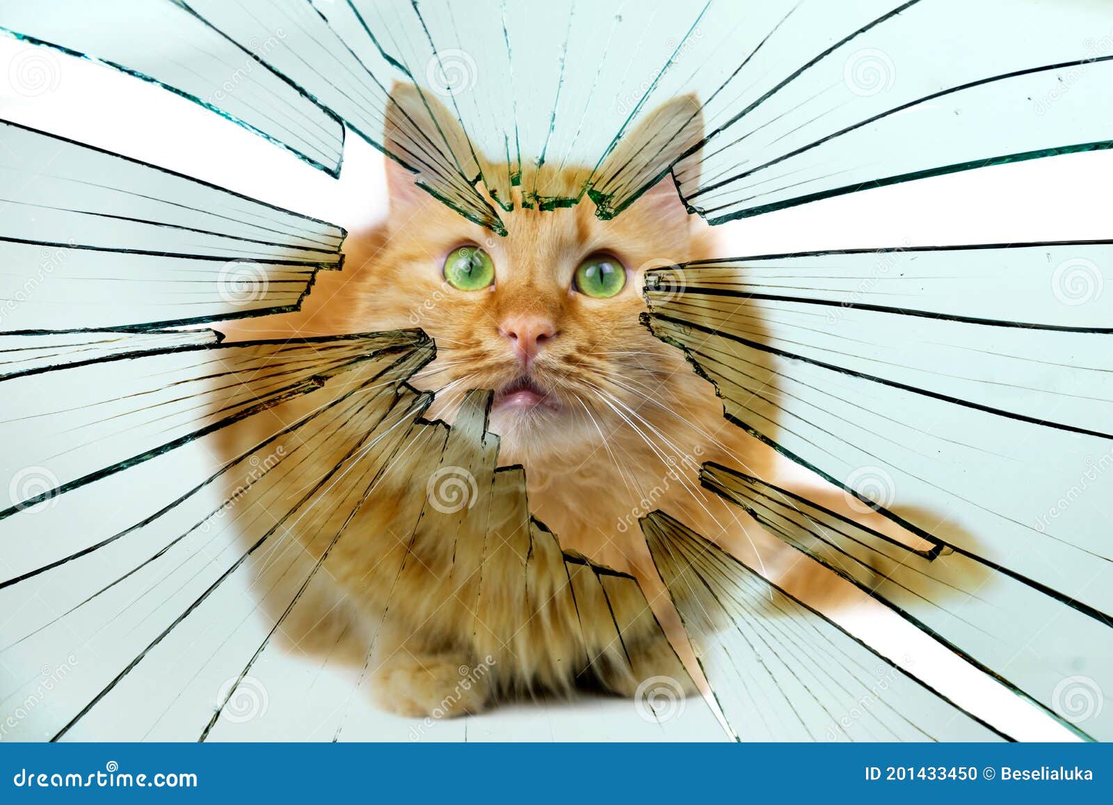 Ginger Cat Looking through the Hole of a Broken Glass Stock Photo ...