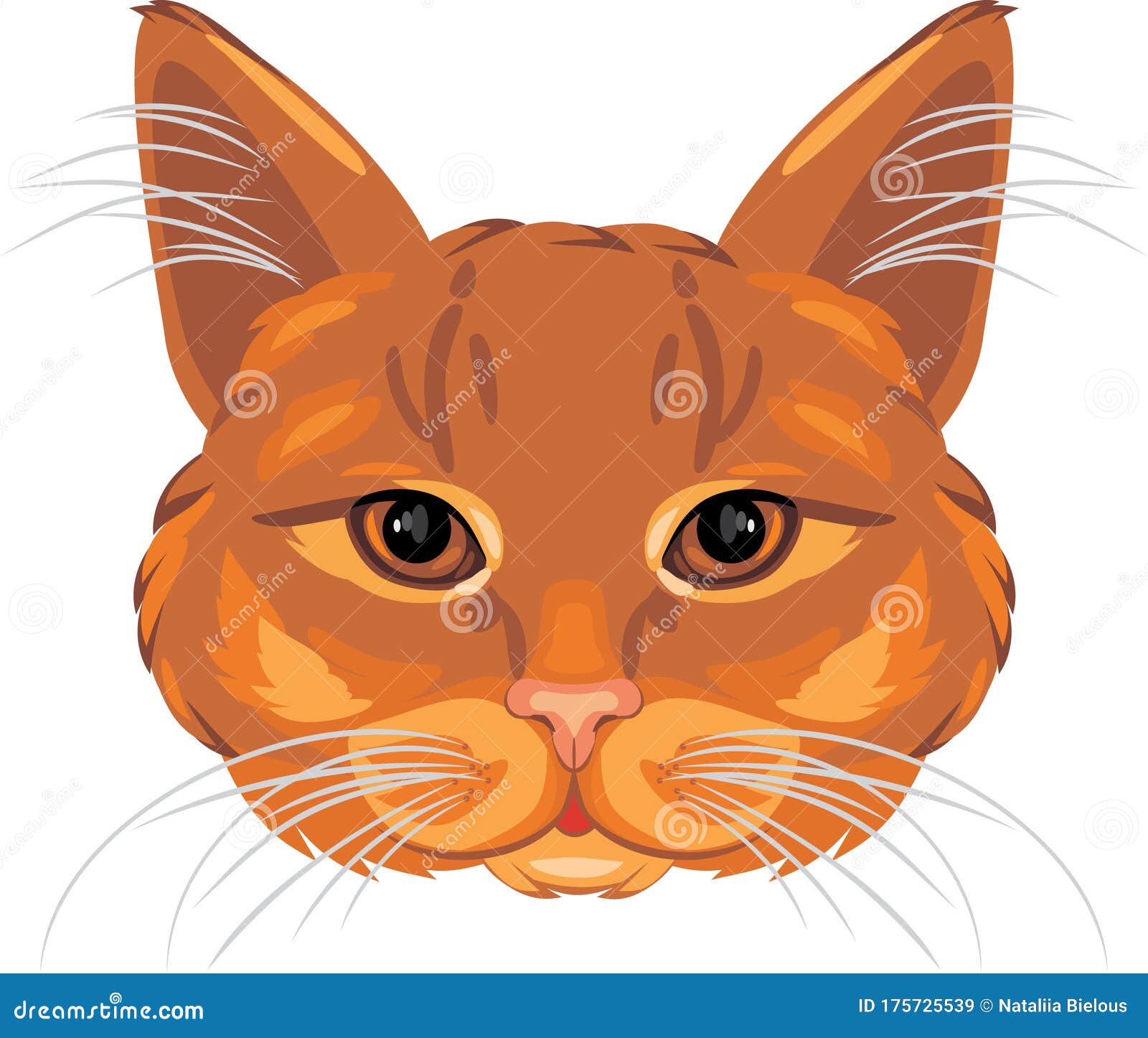 Ginger cat head stock vector. Illustration of isolated - 175725539