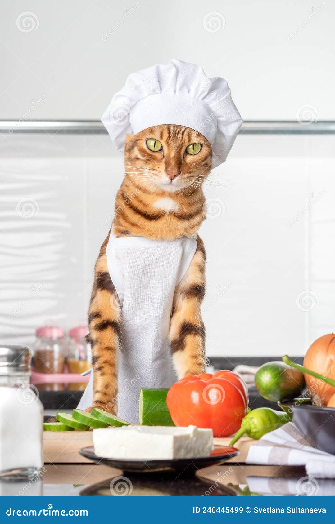 Ginger Cat and Ingredients for Greek Salad Stock Image - Image of ...