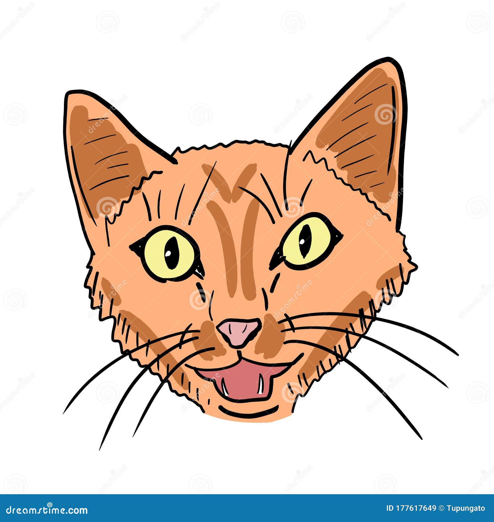 Lolcat Cartoons, Illustrations & Vector Stock Images - 18 Pictures to ...