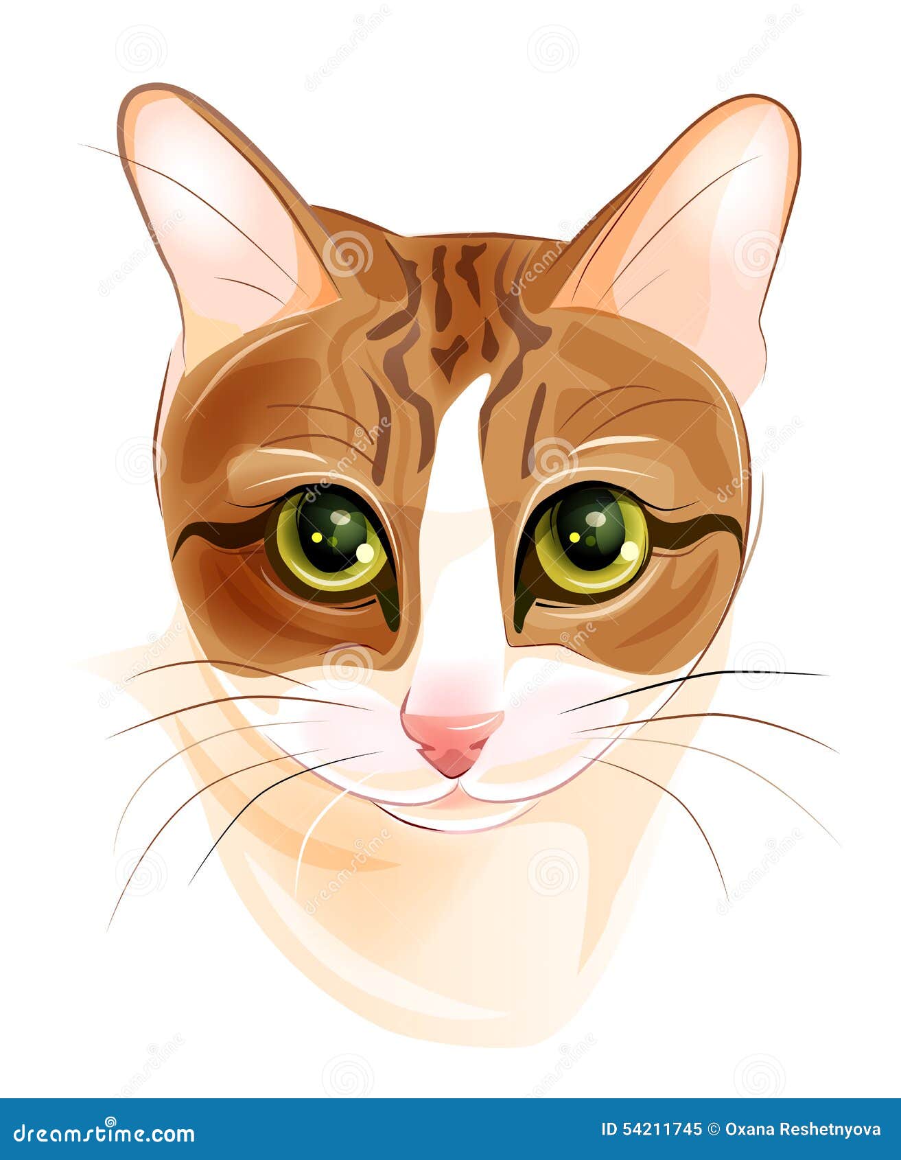 Ginger cat stock vector. Illustration of ginger, stripped - 54211745