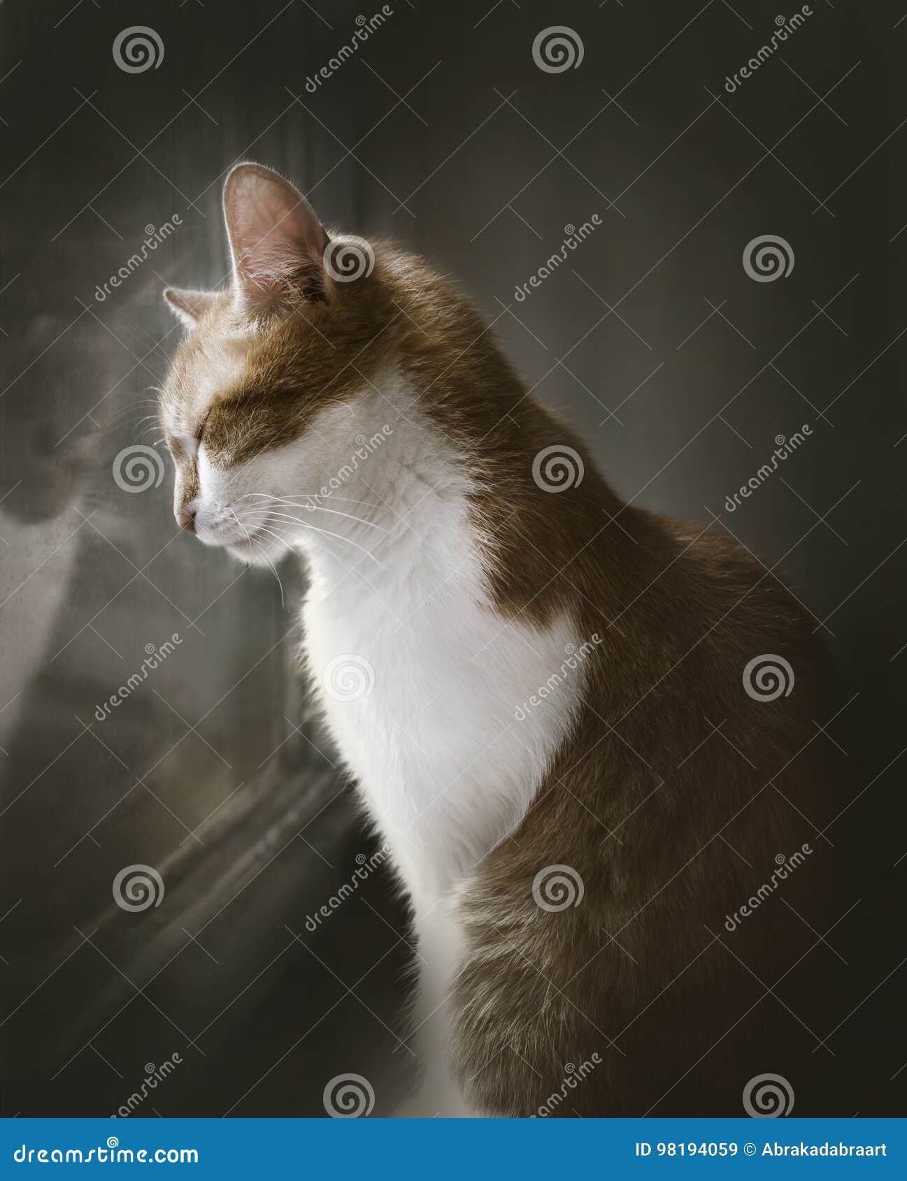 Ginger Cat is Sad Sitting on the Windowsill Stock Image - Image of ...
