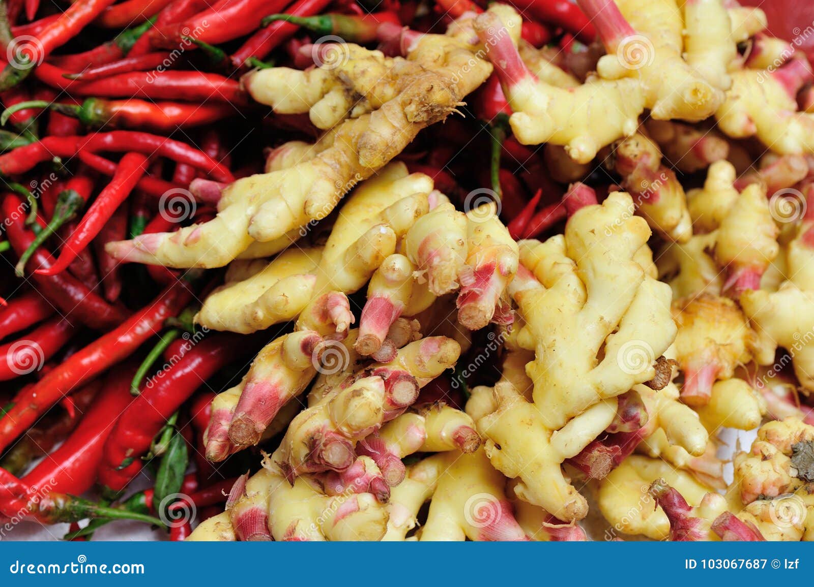 Ginger and chili peppers stock image. Image of pepper - 103067687