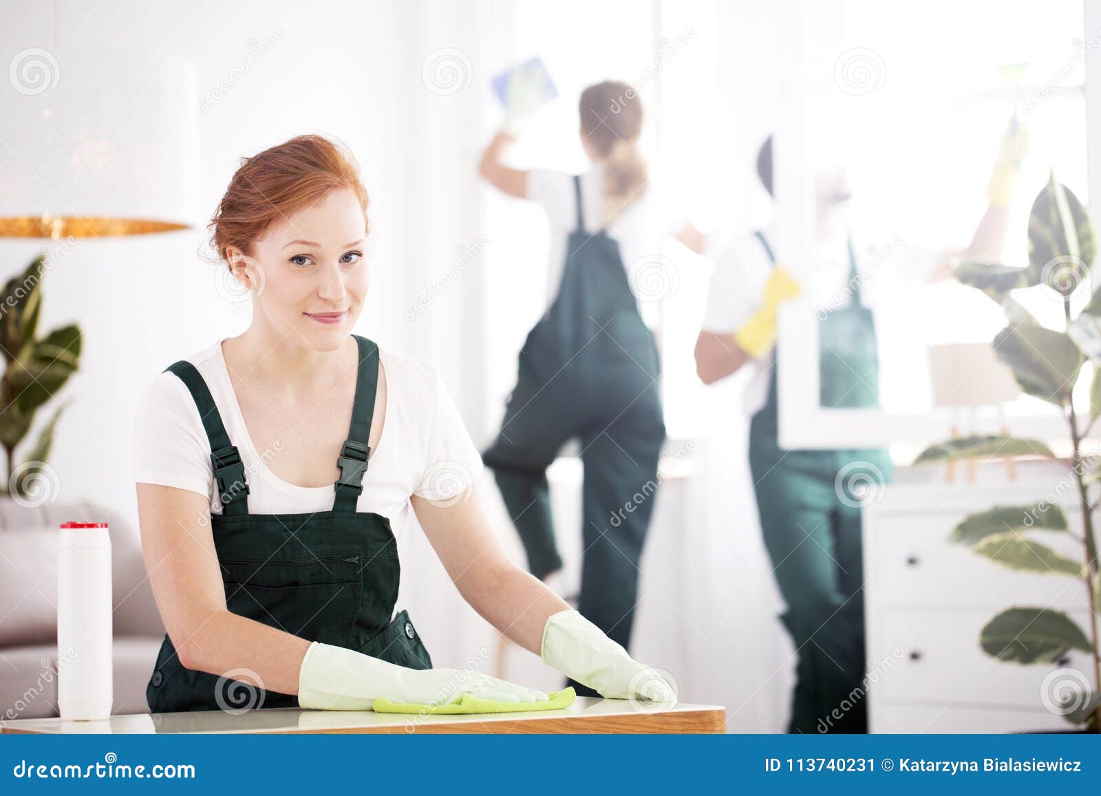 Cleaning Lady Dusting Table Stock Image - Image of gloves, staff: 113740231