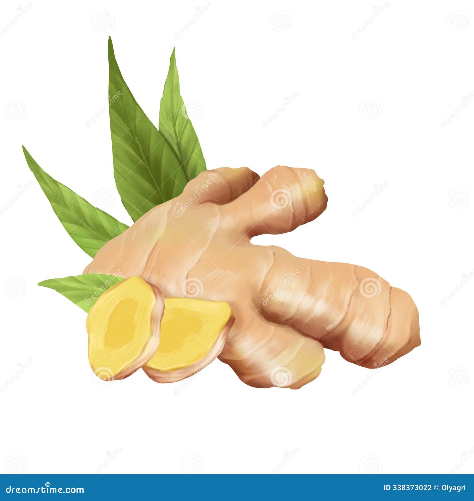 Ginger Food Illustration on White Background. Stock Photo ...
