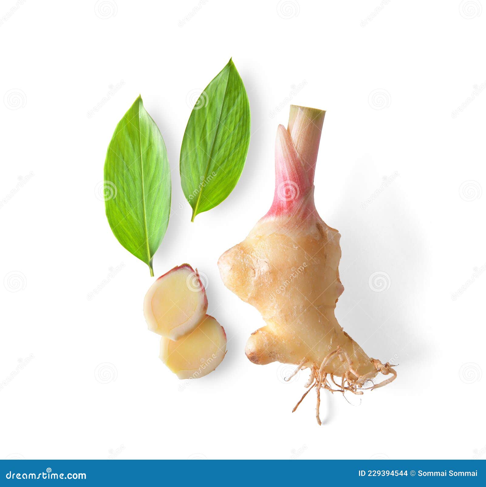 Ginger Fresh with Leaves Isolated on a White Stock Photo - Image of ...