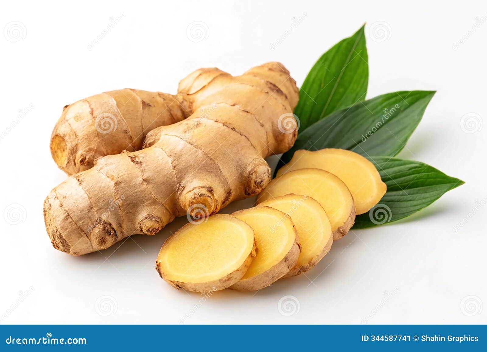 Ginger. Fresh Ginger Root Illustration Stock Illustration ...