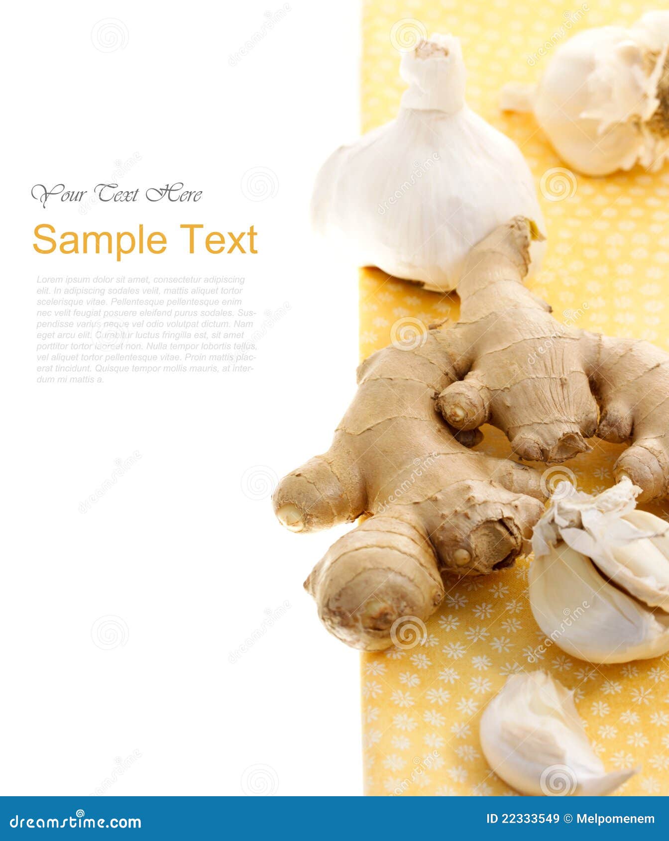 Ginger and garlic stock image. Image of medicine, root - 22333549