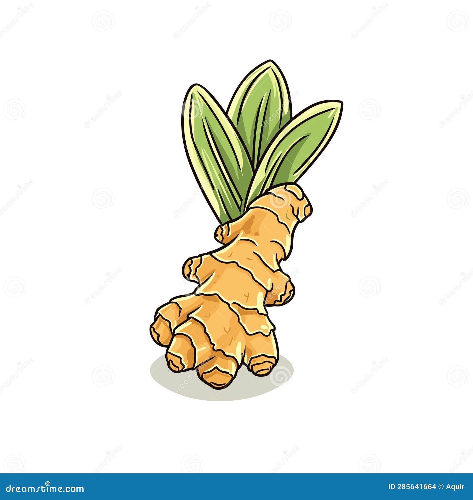 Ginger Hand-drawn Illustration. Ginger. Vector Doodle Style Cartoon ...