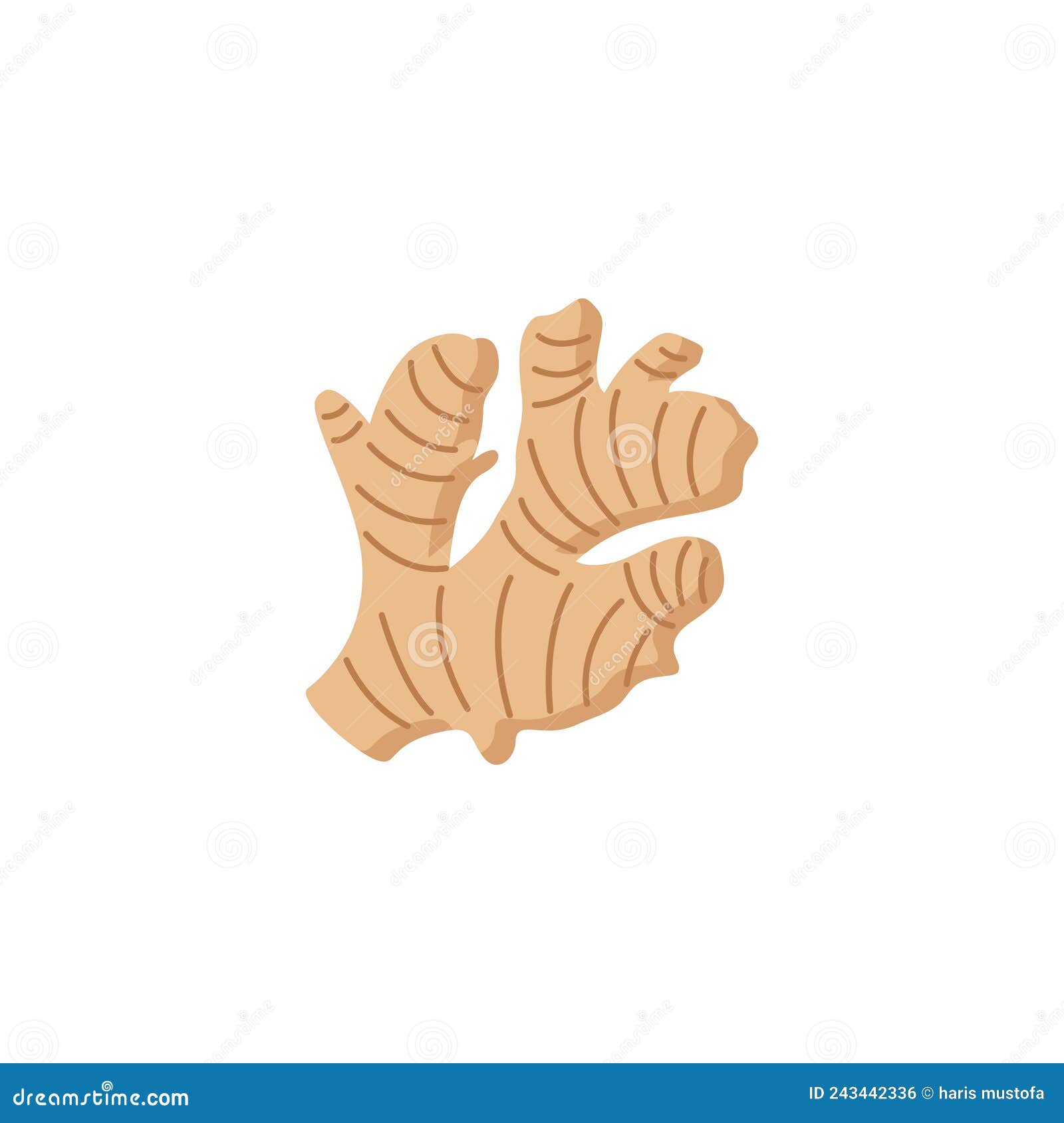 Ginger Icon Design Template Vector Isolated Illustration Stock Vector ...
