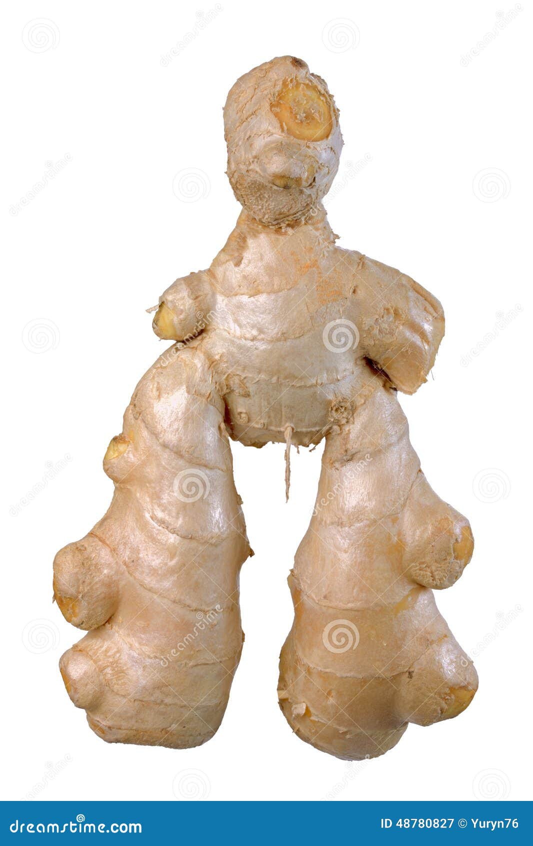 Ginger stock image. Image of objects, ginger, isolated - 48780827