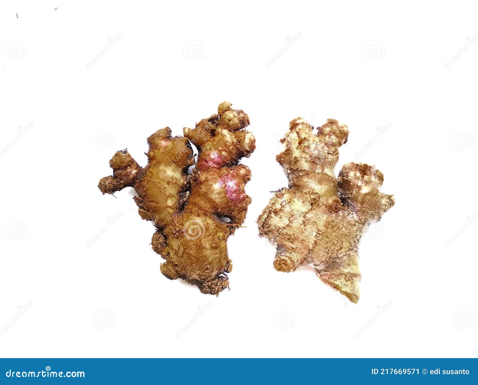 Ginger Isolated White. Ginger Isolated White Stock Image - Image of ...