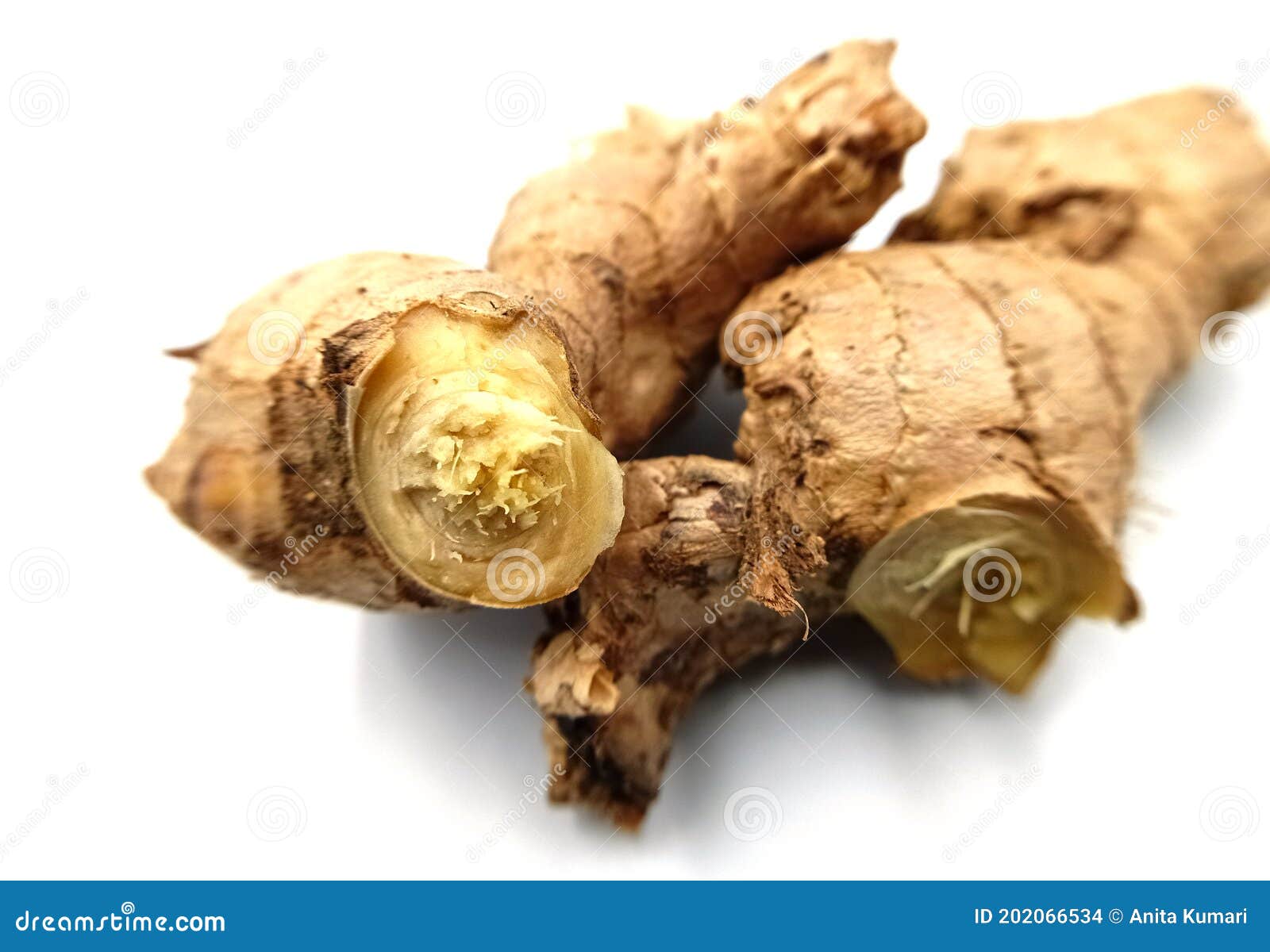 Ginger Isolated on White Background Stock Photo - Image of natural ...