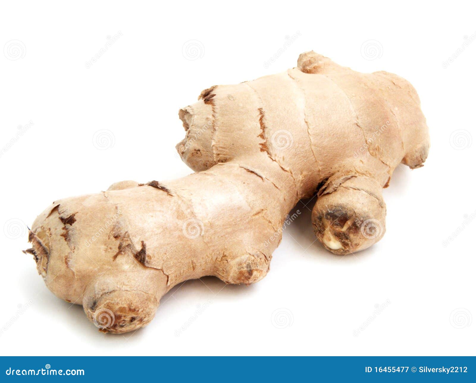 Ginger Isolated On White Background Royalty-Free Stock Image ...