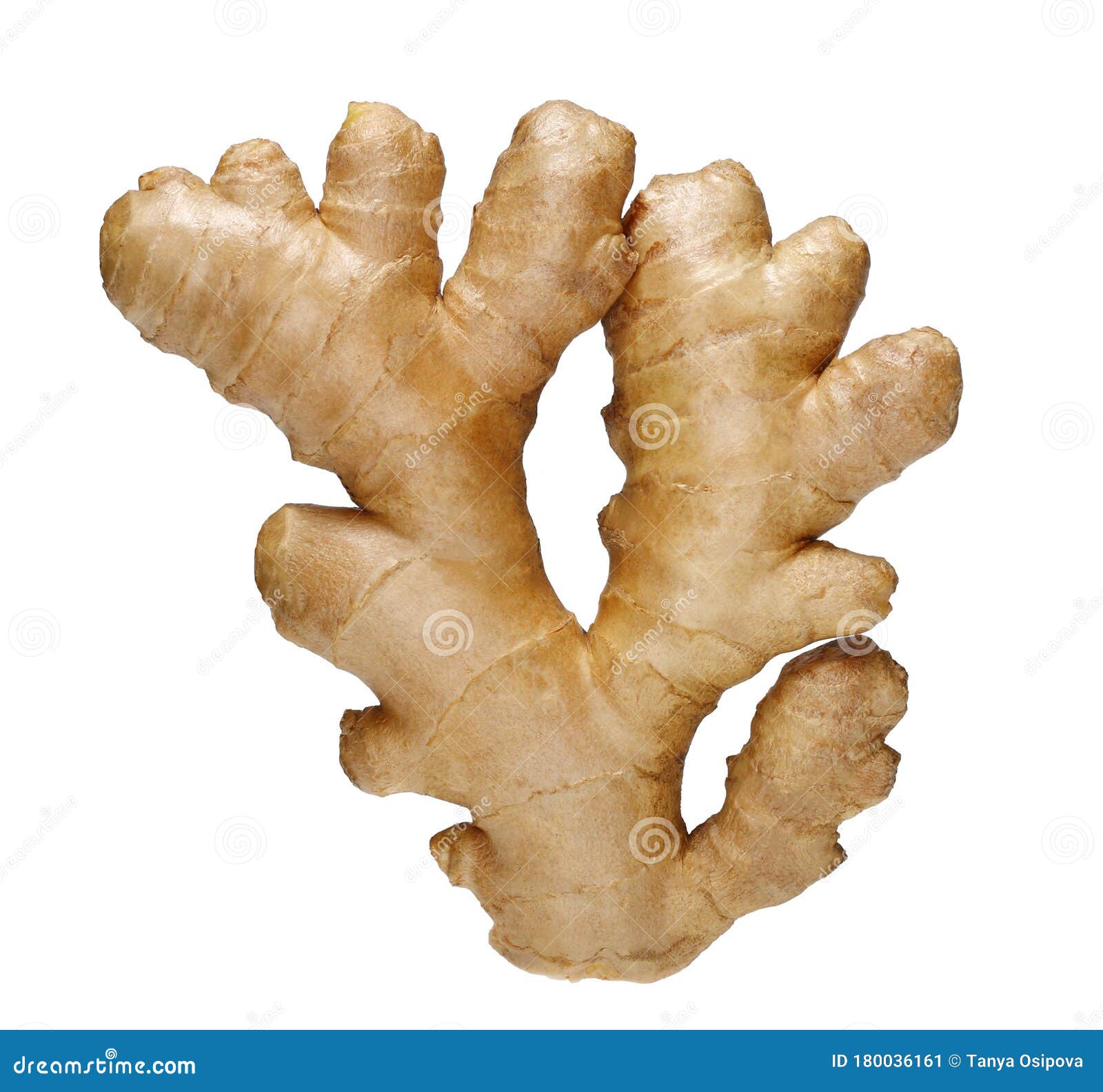 Ginger Isolated on White Background Stock Image - Image of isolated ...