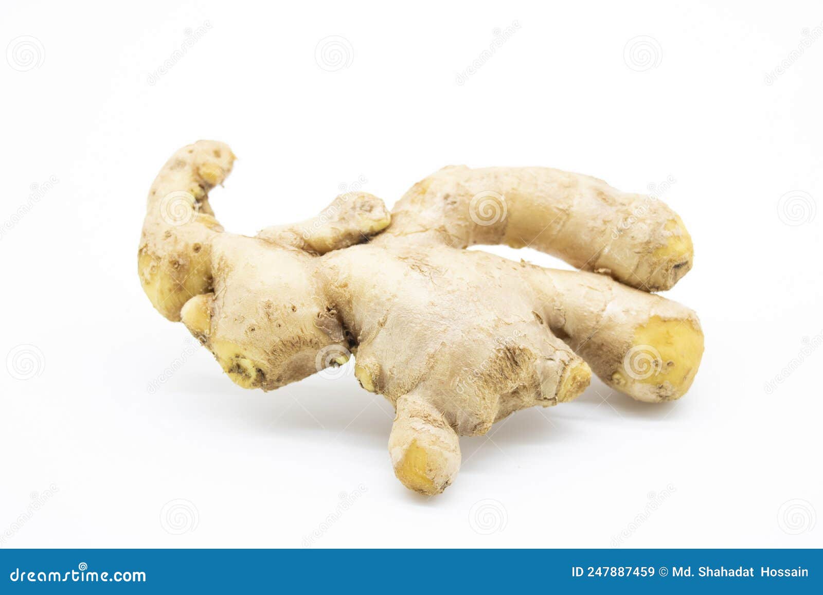 Ginger Isolated on White Background Stock Image - Image of background ...