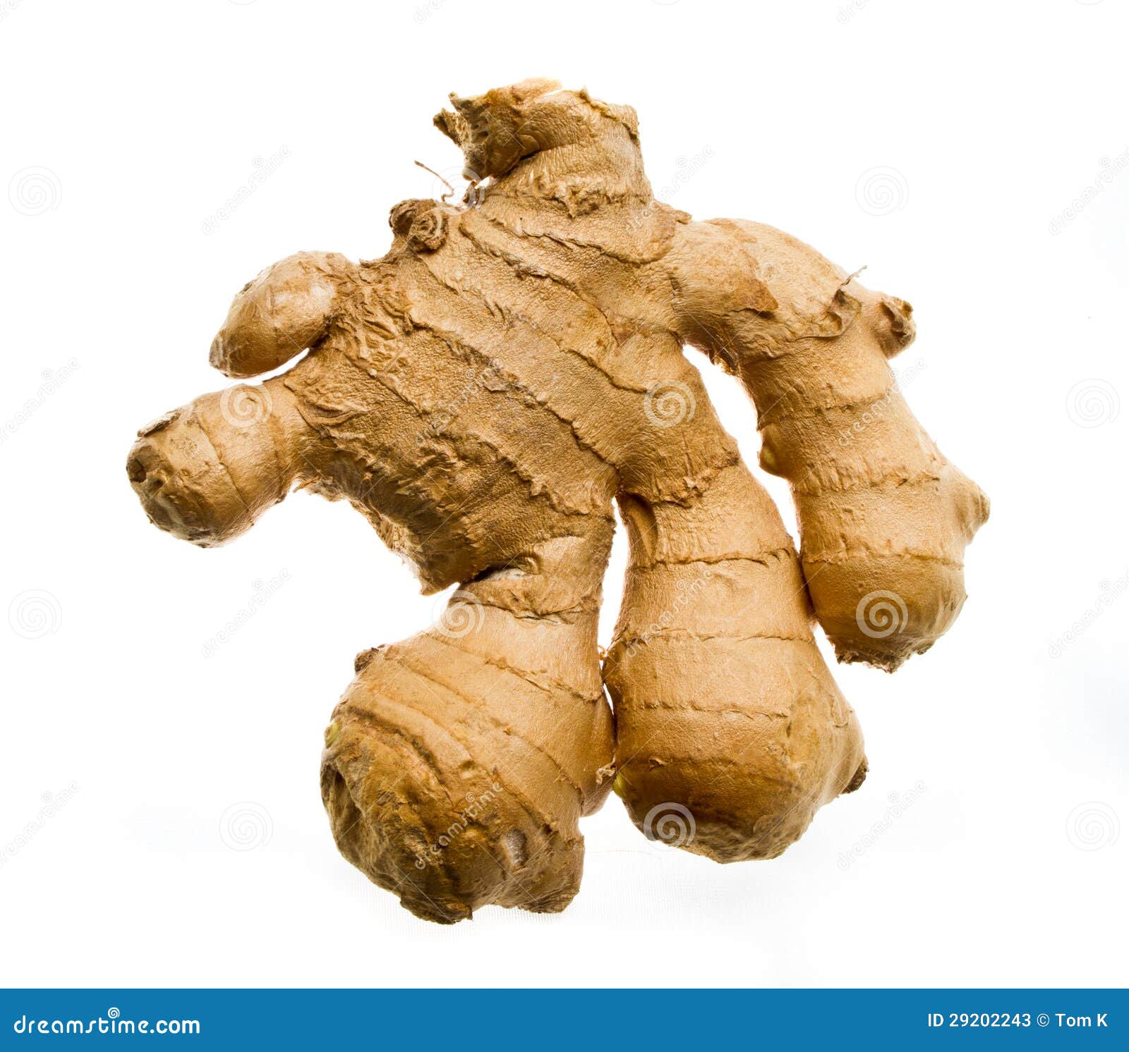 Ginger Isolated on White Background Stock Image - Image of nature ...
