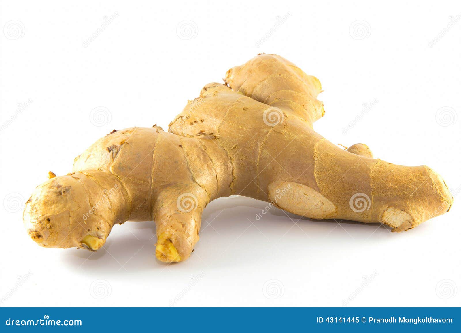 Ginger Isolated On White Background Royalty-Free Stock Image ...
