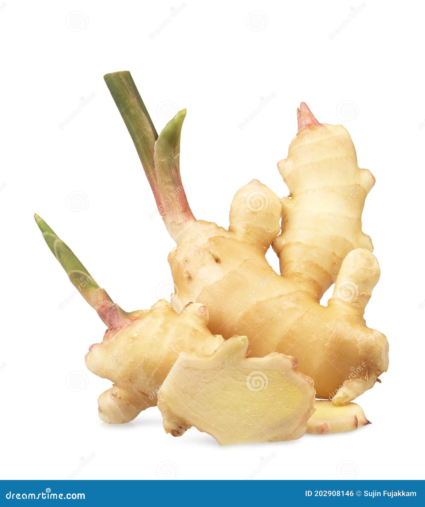Ginger Isolated on White Background Stock Photo - Image of object ...
