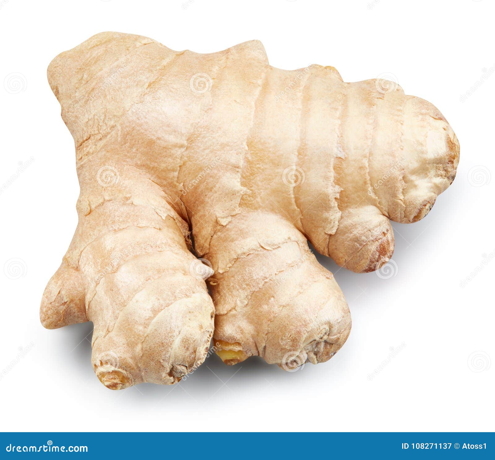 Ginger Isolated on a white stock image. Image of healthy - 108271137