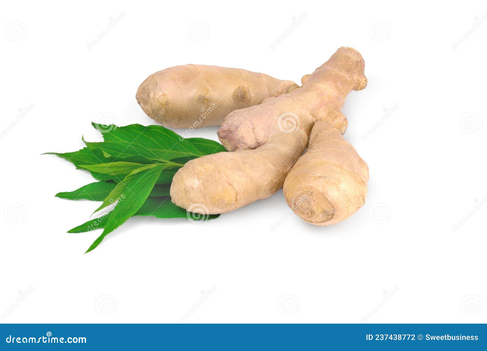 Ginger with leaf stock photo. Image of root, healthy - 237438772